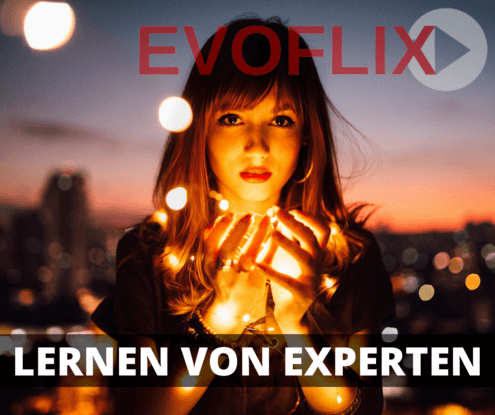 partner - Evoflix